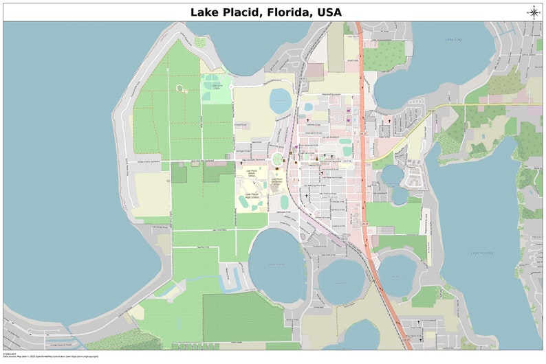 Lake Placid, Florida Map With STREET LABELS, Digital Print Poster ...