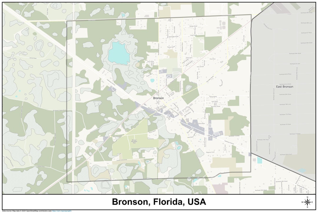 Bronson Florida Street Map Digital Print Poster, 36x24 Inch Printable ...