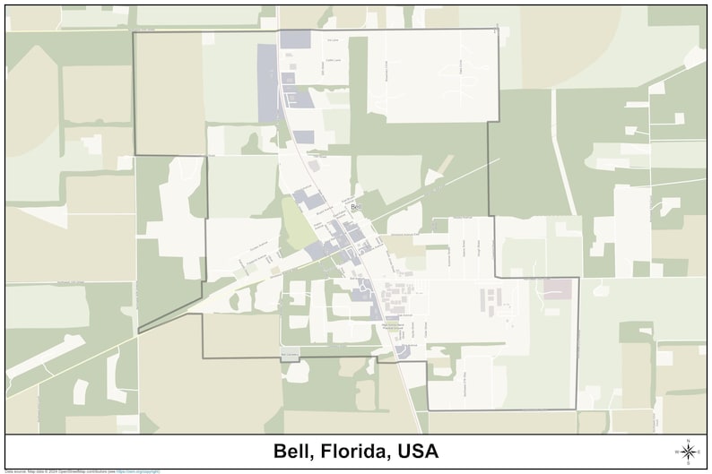 Bell Florida Street Map Digital Print Poster, 36x24 Inch Printable Map ...