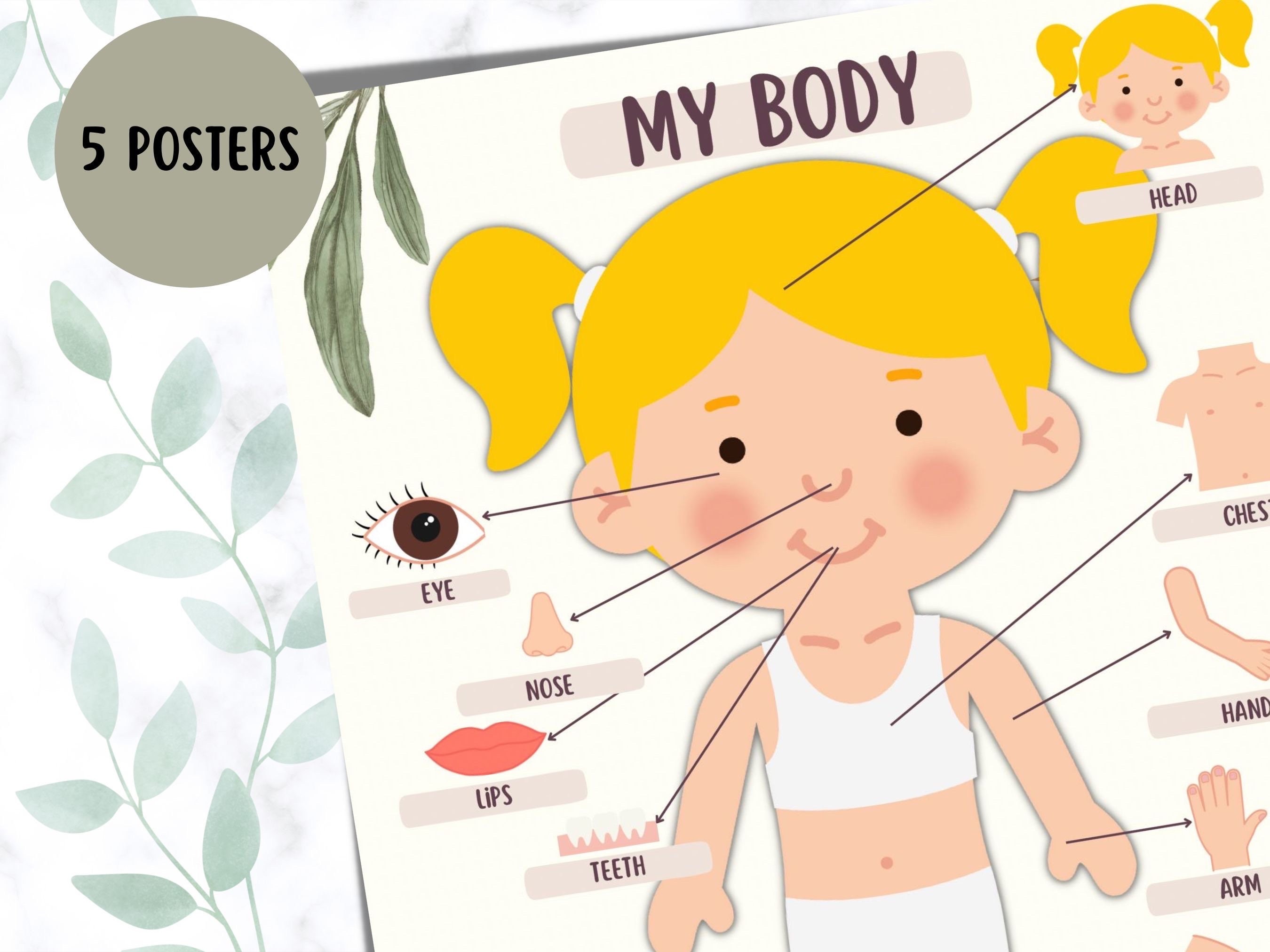 Human Body Posters With Body Systems Educational Wall Art for Anatomy ...