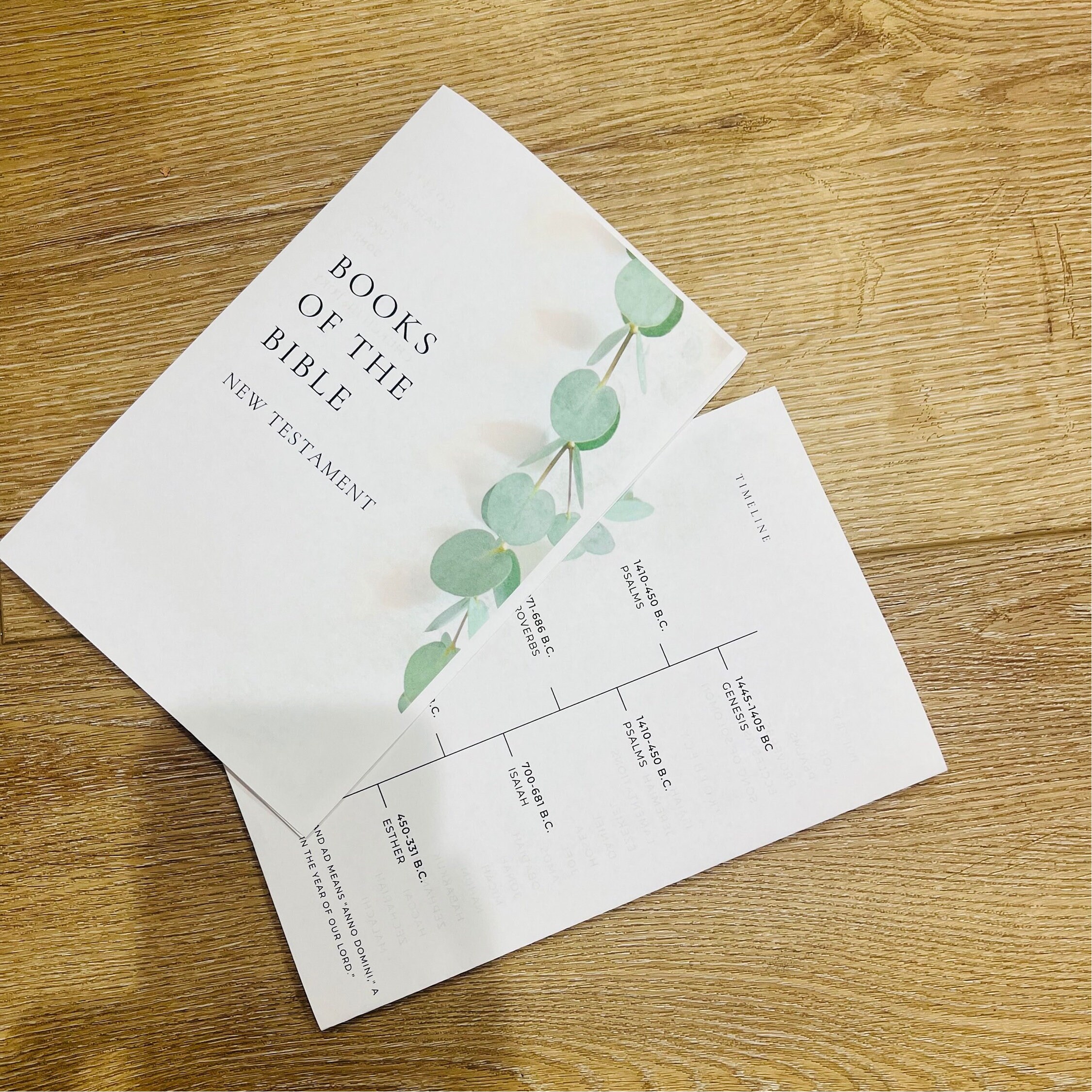 Books of the Bible Booklet Bible Worksheets: Homeschool Kids - Etsy