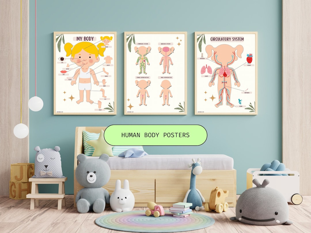 Human Body Posters With Body Systems Educational Wall Art - Etsy