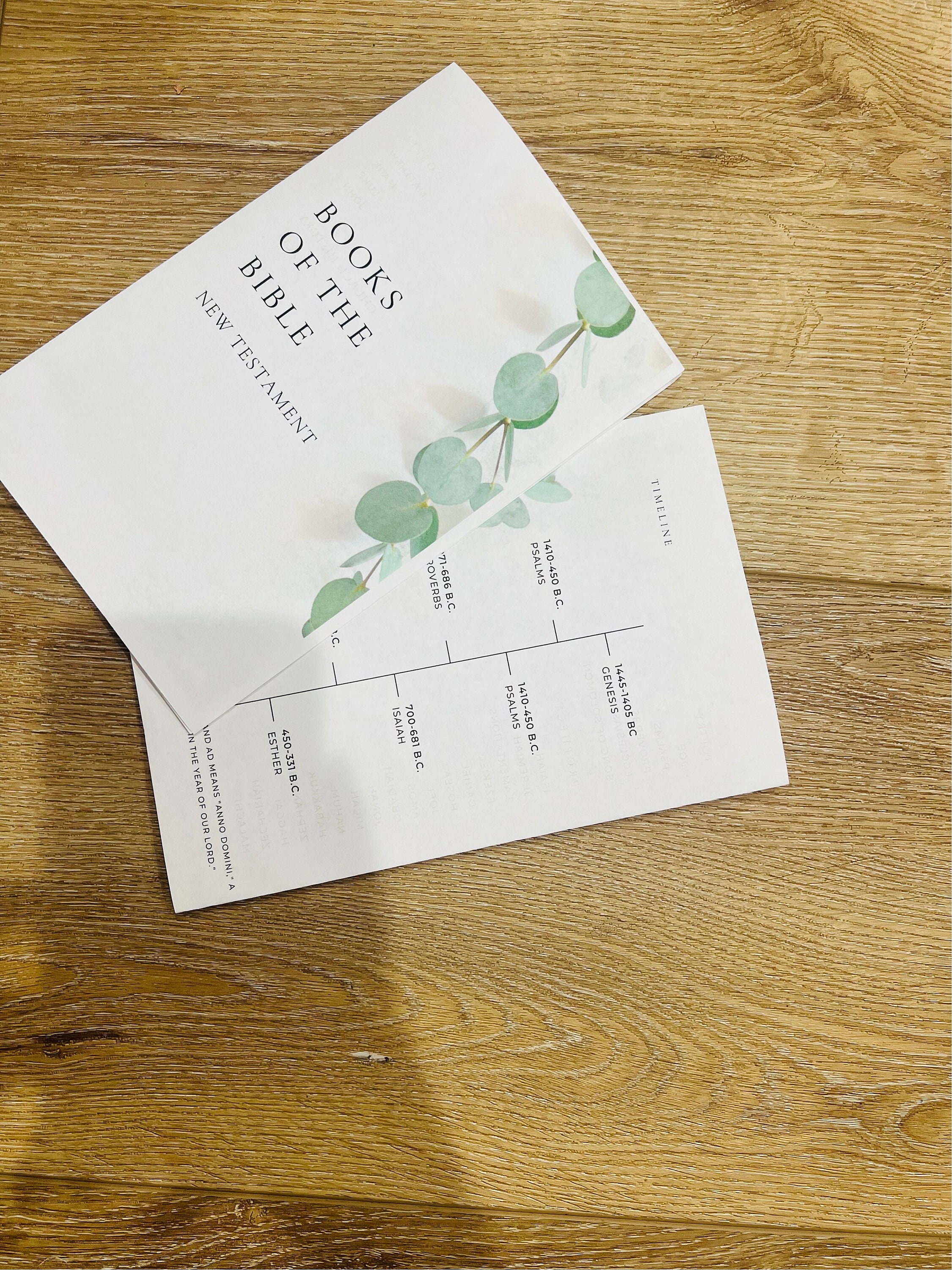 Books of the Bible Booklet Bible Worksheets: Homeschool Kids - Etsy