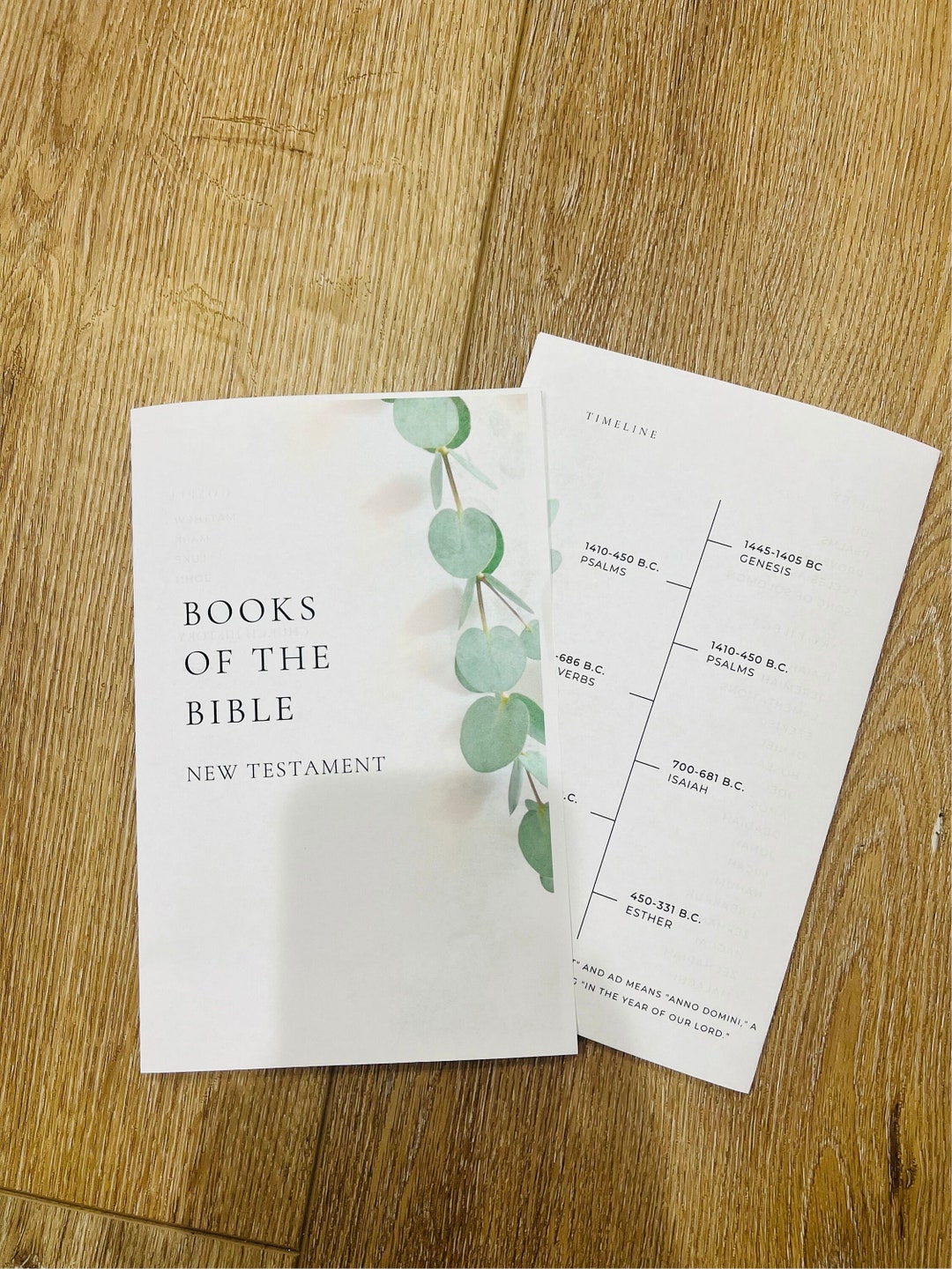Books of the Bible Booklet Bible Worksheets: Homeschool Kids - Etsy