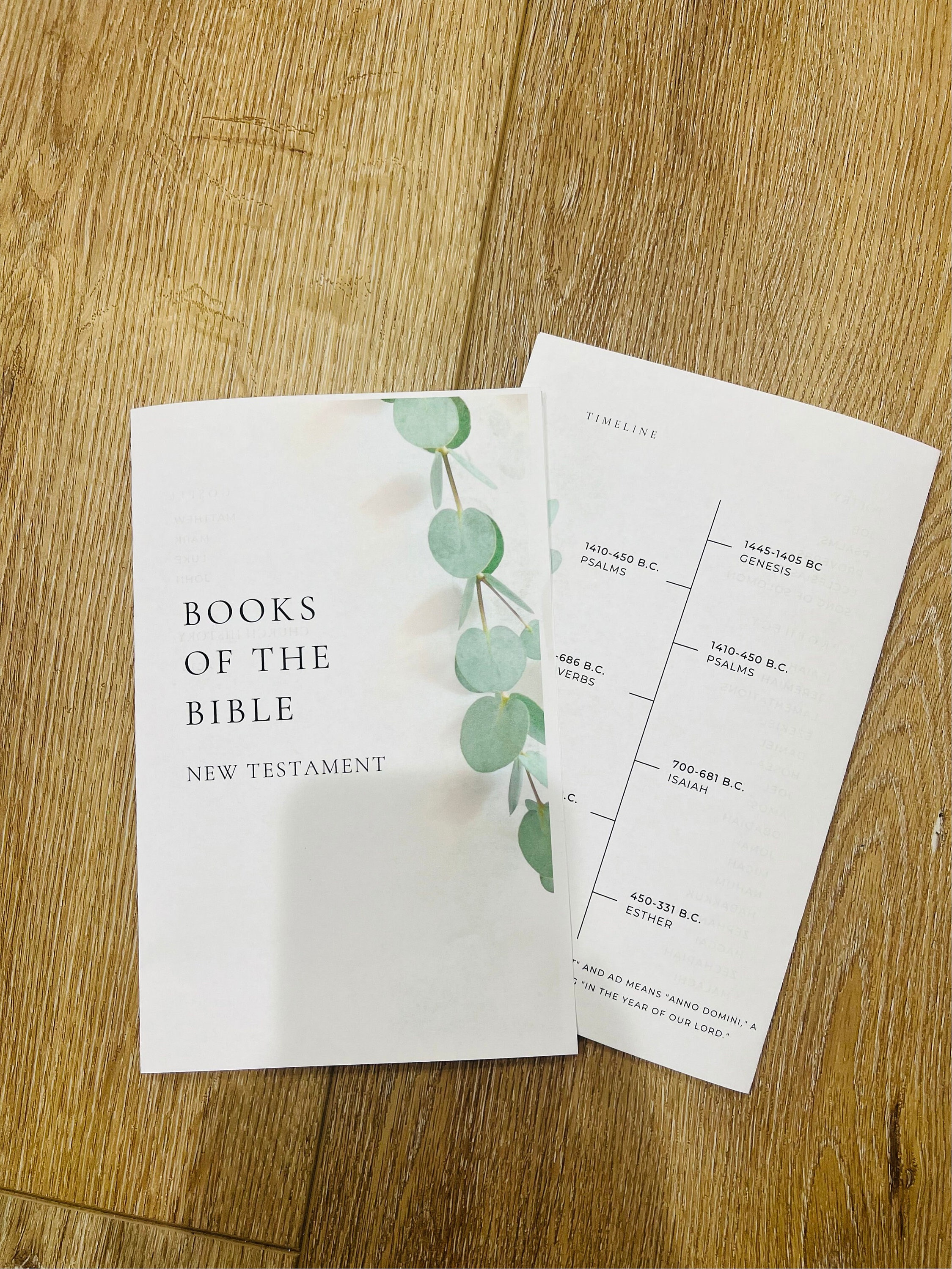 Books of the Bible Booklet Bible Worksheets: Homeschool Kids Study ...