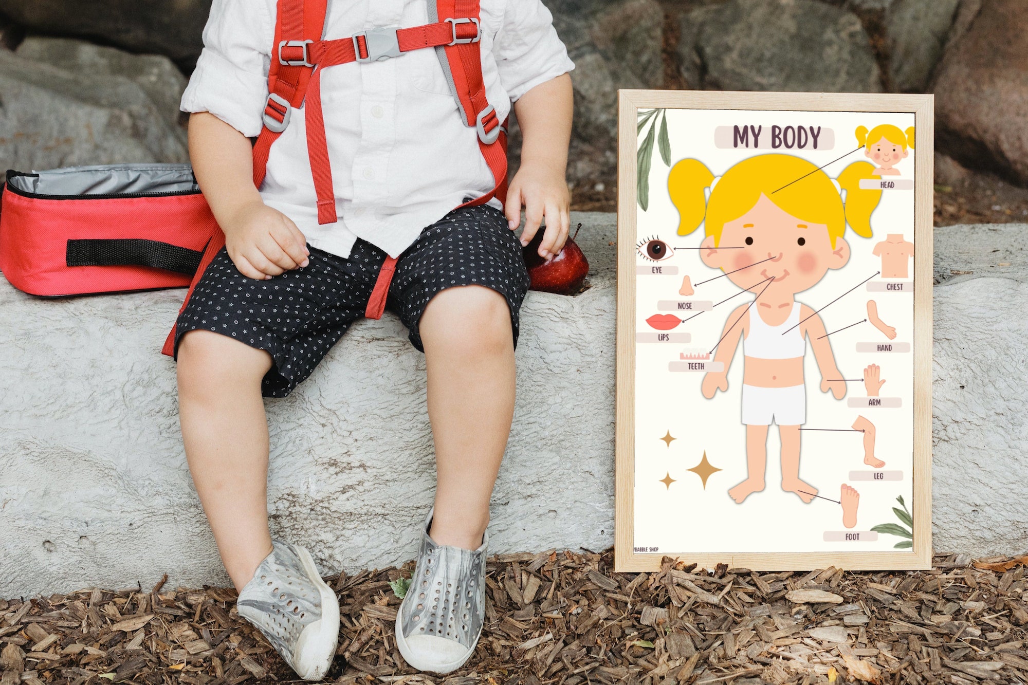 Human Body Posters With Body Systems Educational Wall Art for Anatomy ...