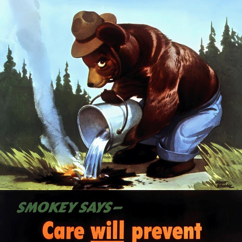 Smokey Bear Poster - Etsy