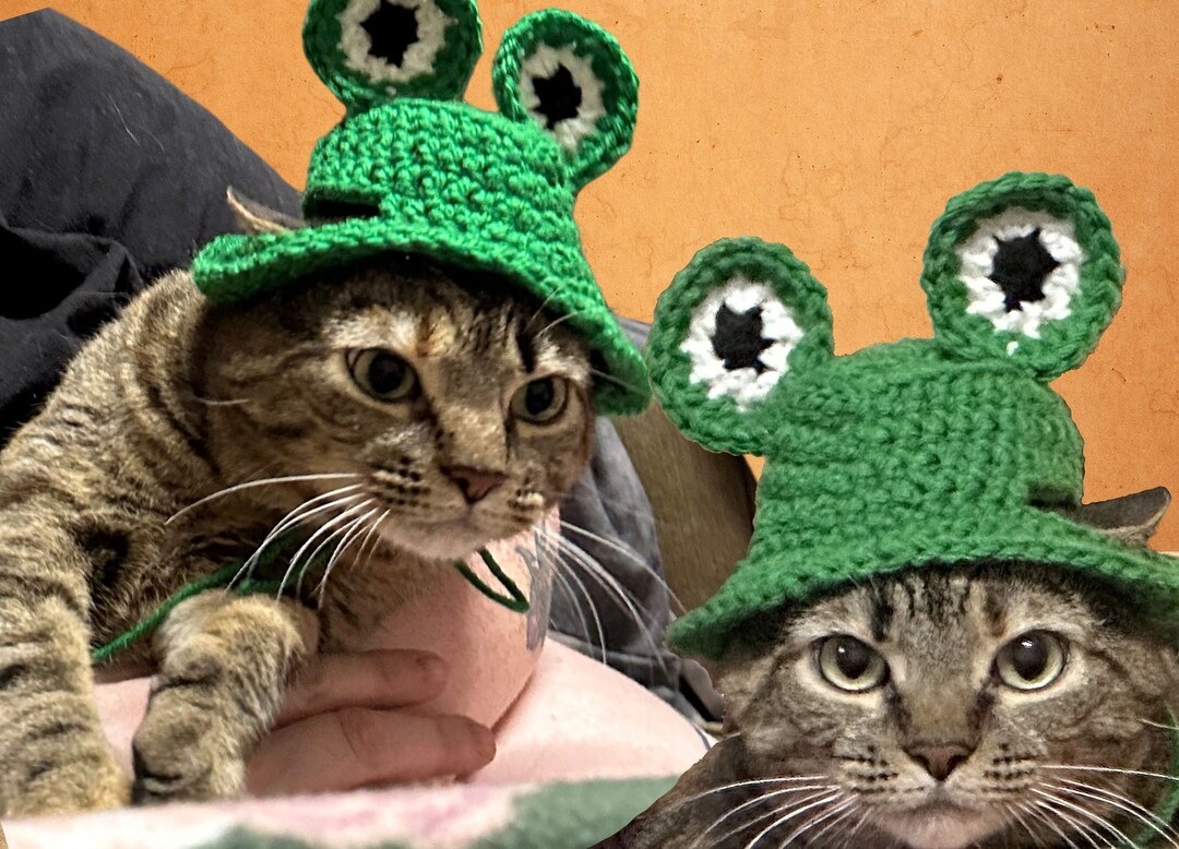 Crochet Froggy Pet Hat - Etsy