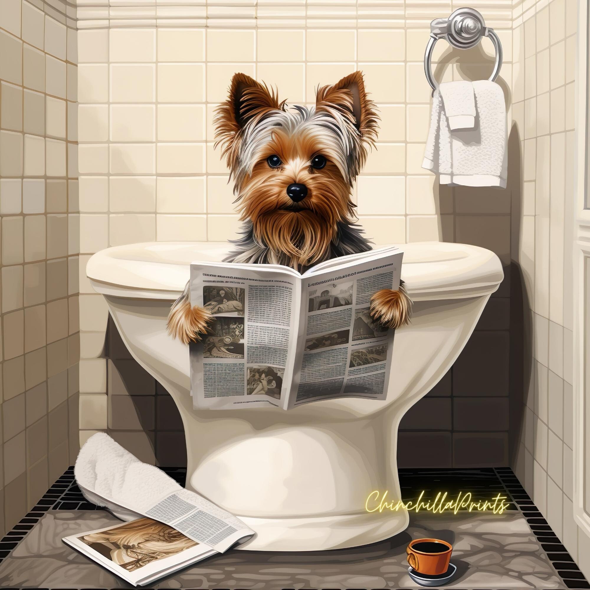 Yorkshire Terrier, Yorkshire Terrier Sitting on the Toilet and Reading ...