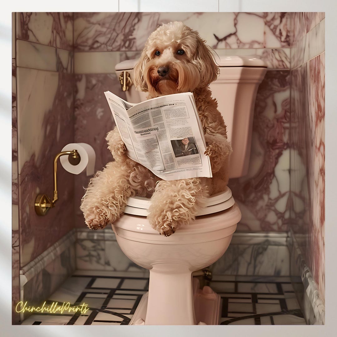 Cockapoo Set of 4 Sitting on the Toilet and Reading the Newspaper, Fun ...
