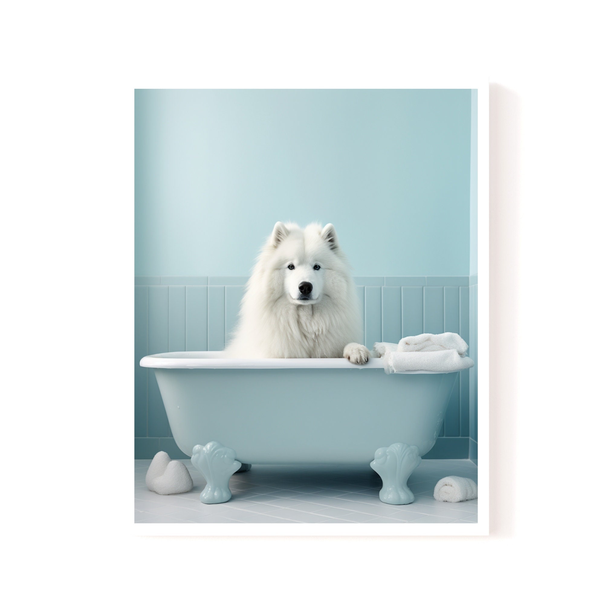 Samoyed, Samoyed Sitting on the Toilet and Reading a Newspaper, Fun ...