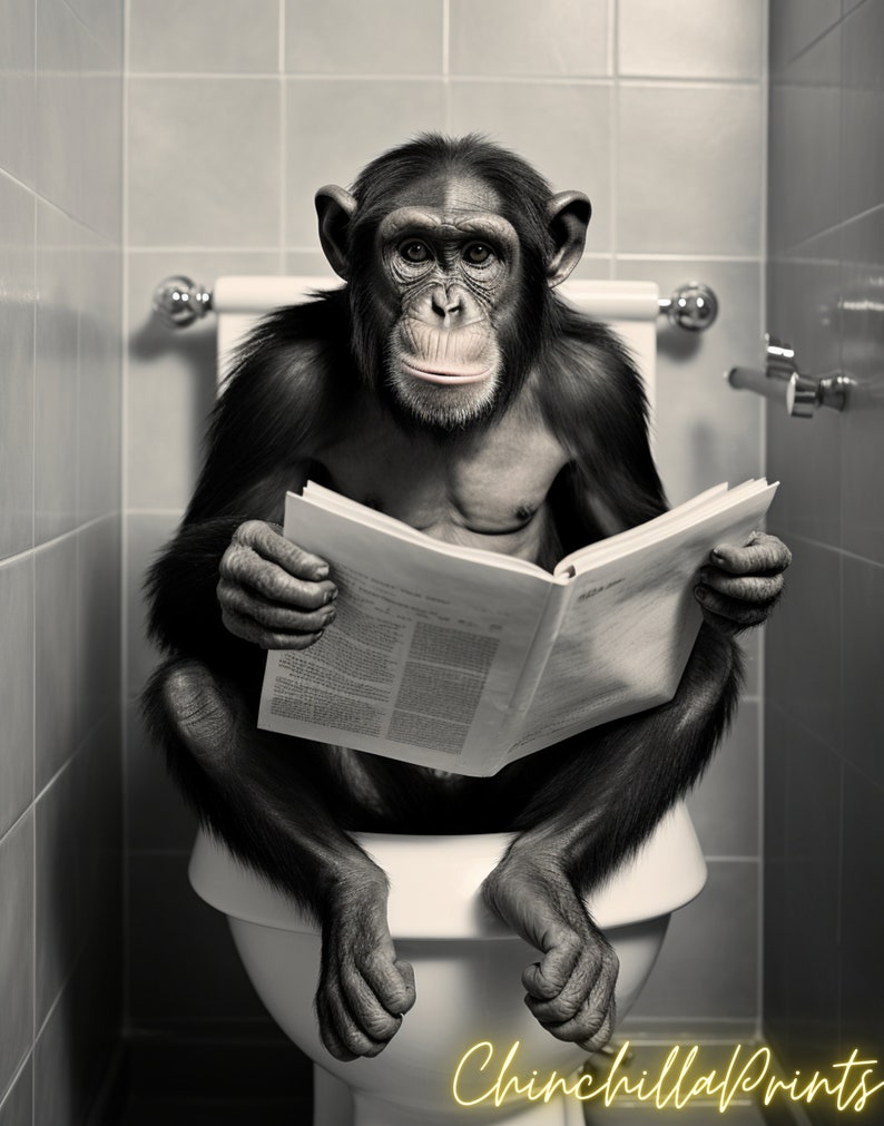 3 Monkey Sitting on the Toilet Reading a Newspaper, Funny Bathroom Wall ...