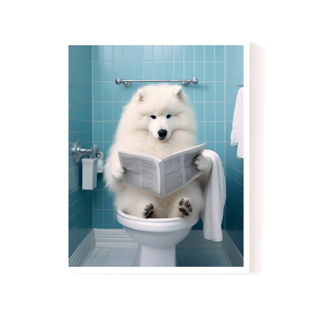 Samoyed, Samoyed Sitting on the Toilet and Reading a Newspaper, Fun ...