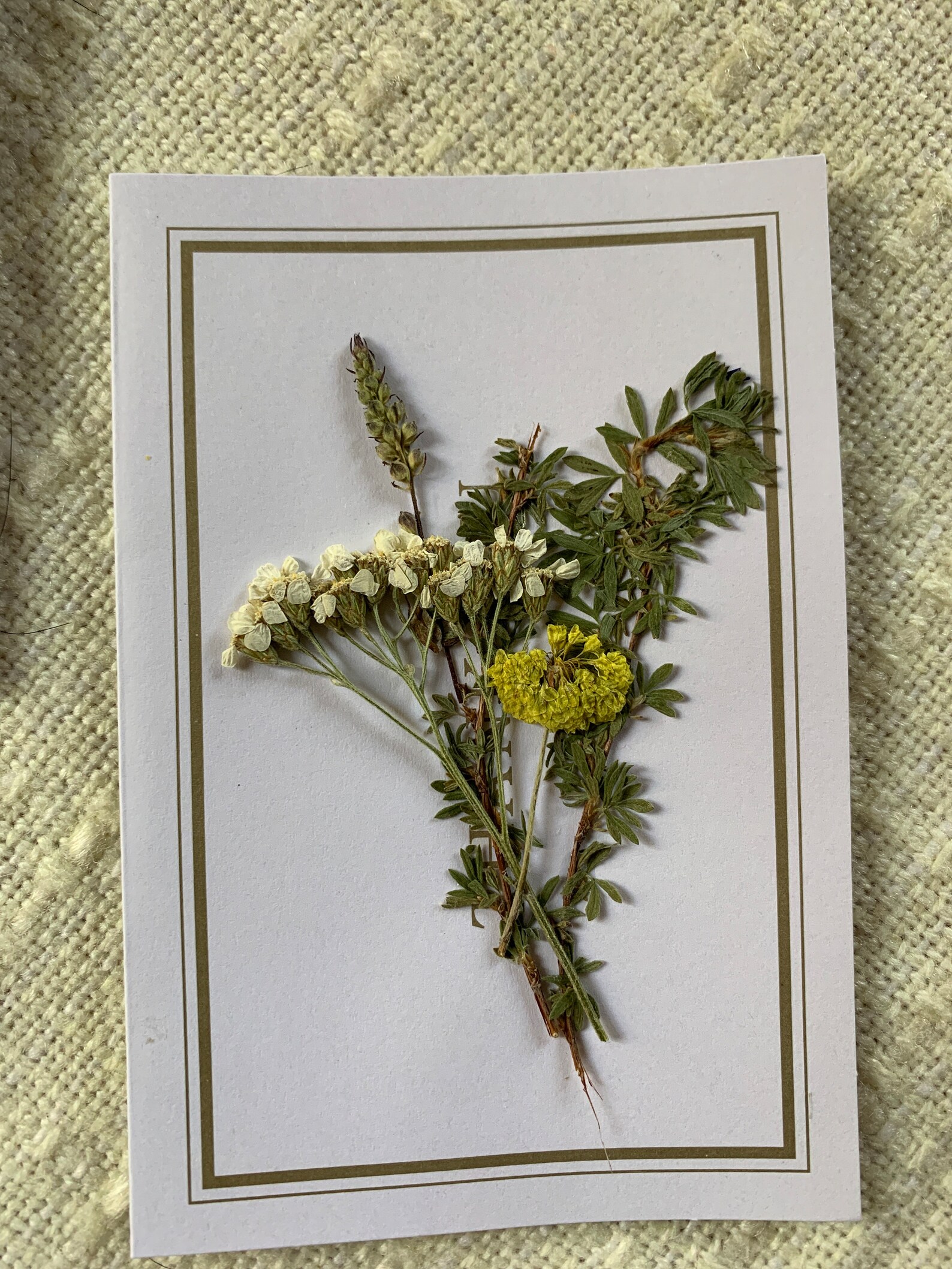 Handmade, Original, Unique, Real Dry Pressed Flowers Note Cards ...
