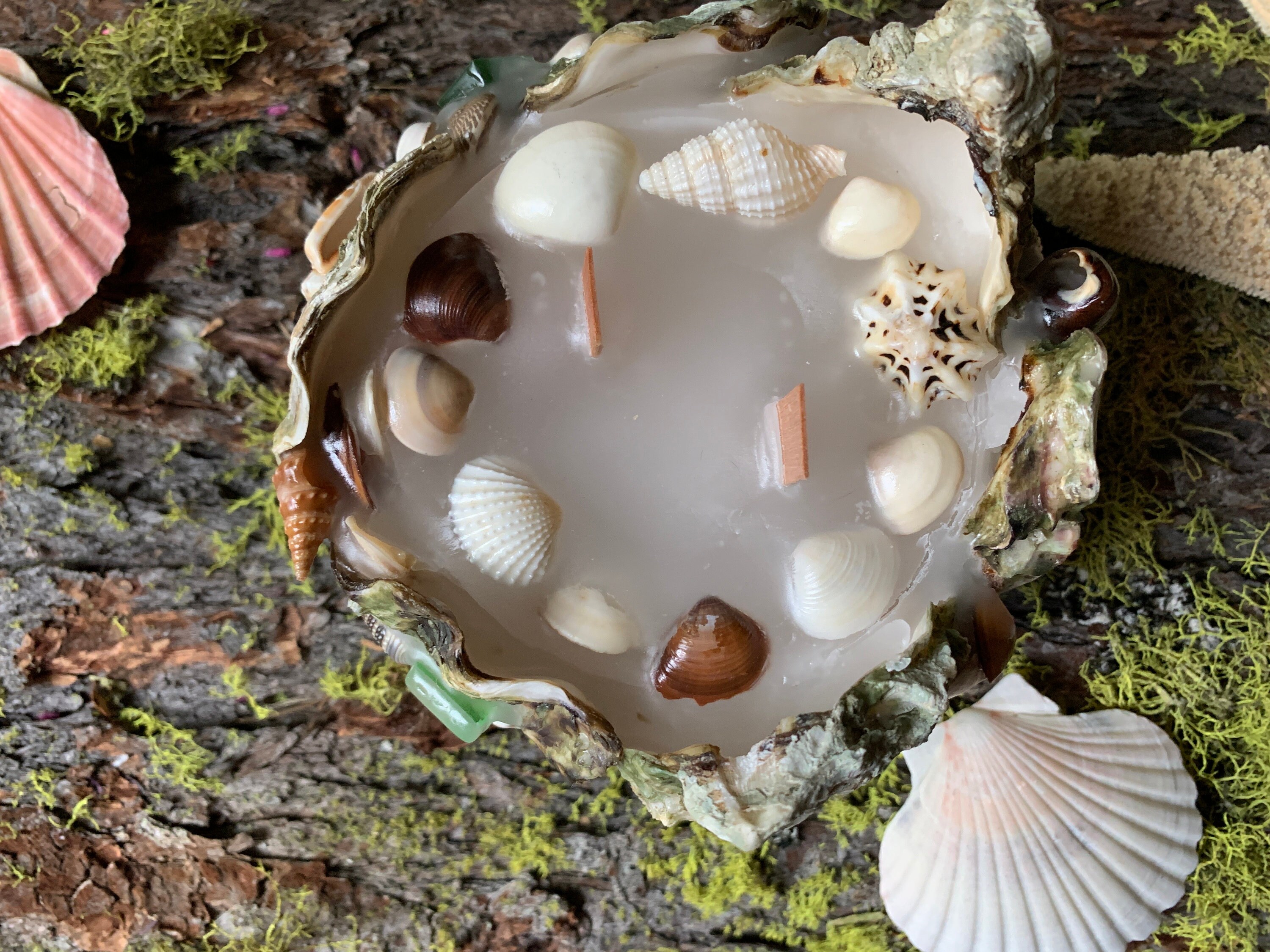 Oyster Seashells Candle, Handmade, Beach Time Candle, Souvenir From the ...
