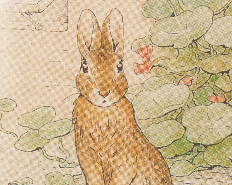 Vintage Peter Rabbit Sketch, Nursery Art Printable, Vintage Book ...