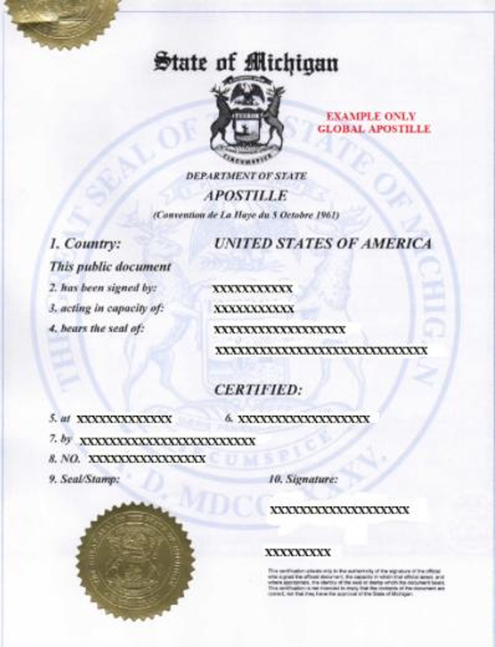 Apostille Process Made Simple: Quick Reference Guide for Notaries - Etsy
