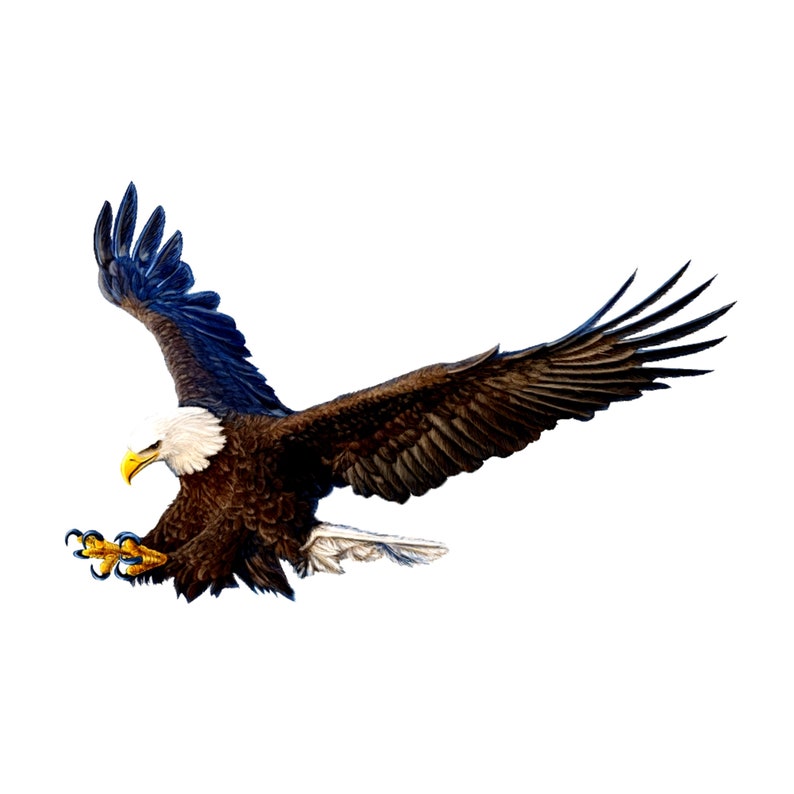 American Eagle Png, Svg, Flying Bird Svg,| Instant Download Digital ...