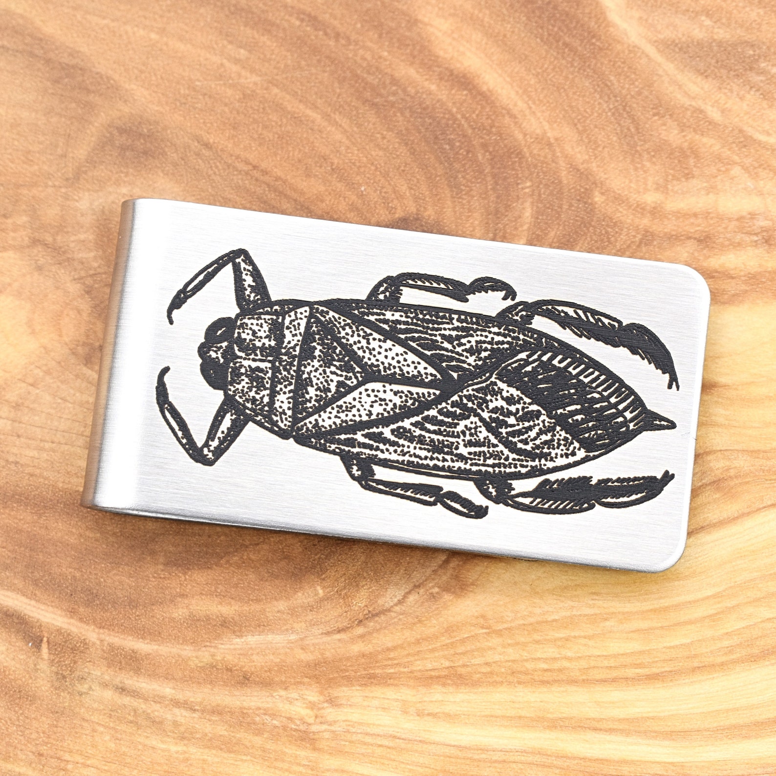 Giant Water Bug Belostoma Money Clip ~ Engraved Stainless Steel - Etsy