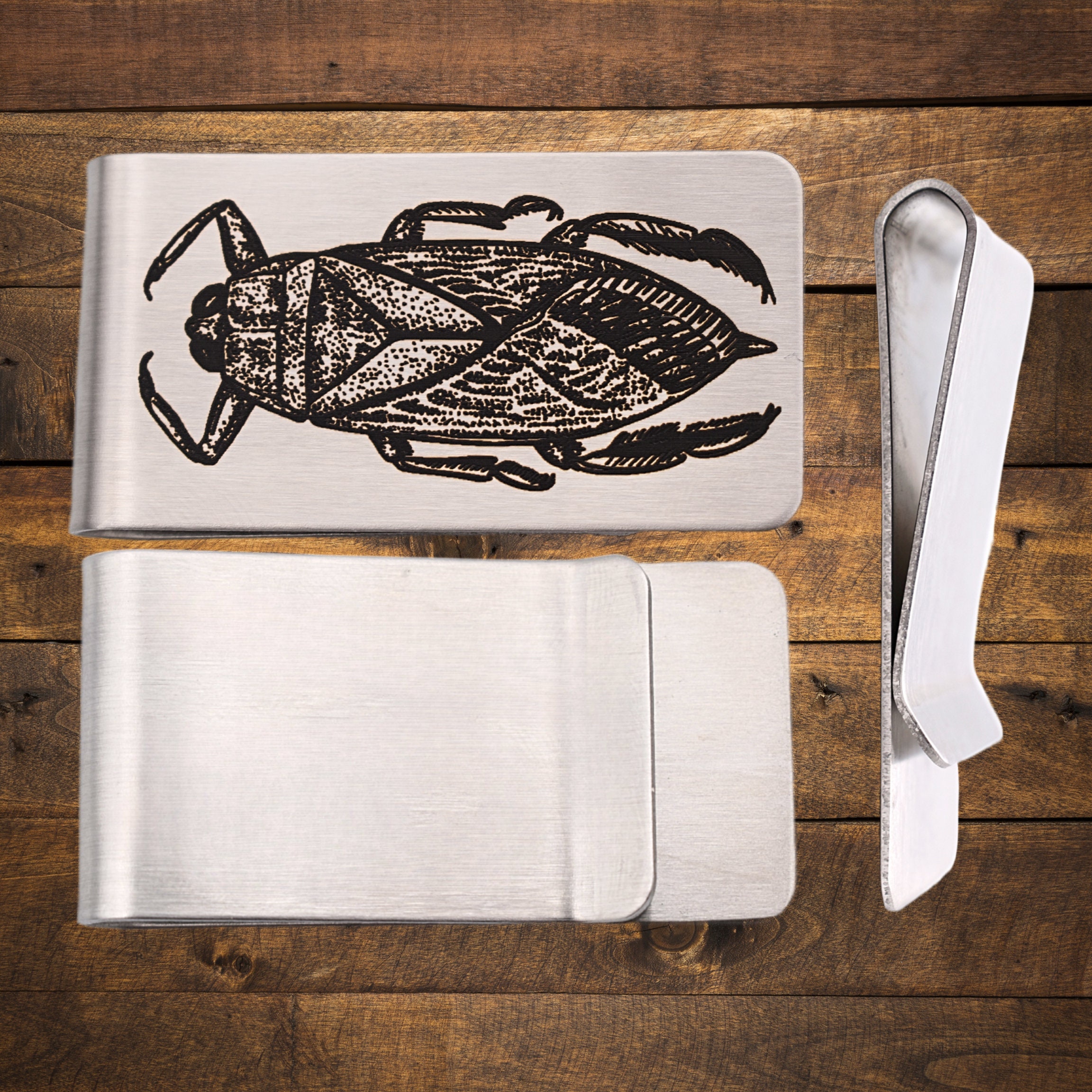Giant Water Bug Belostoma Money Clip ~ Engraved Stainless Steel - Etsy