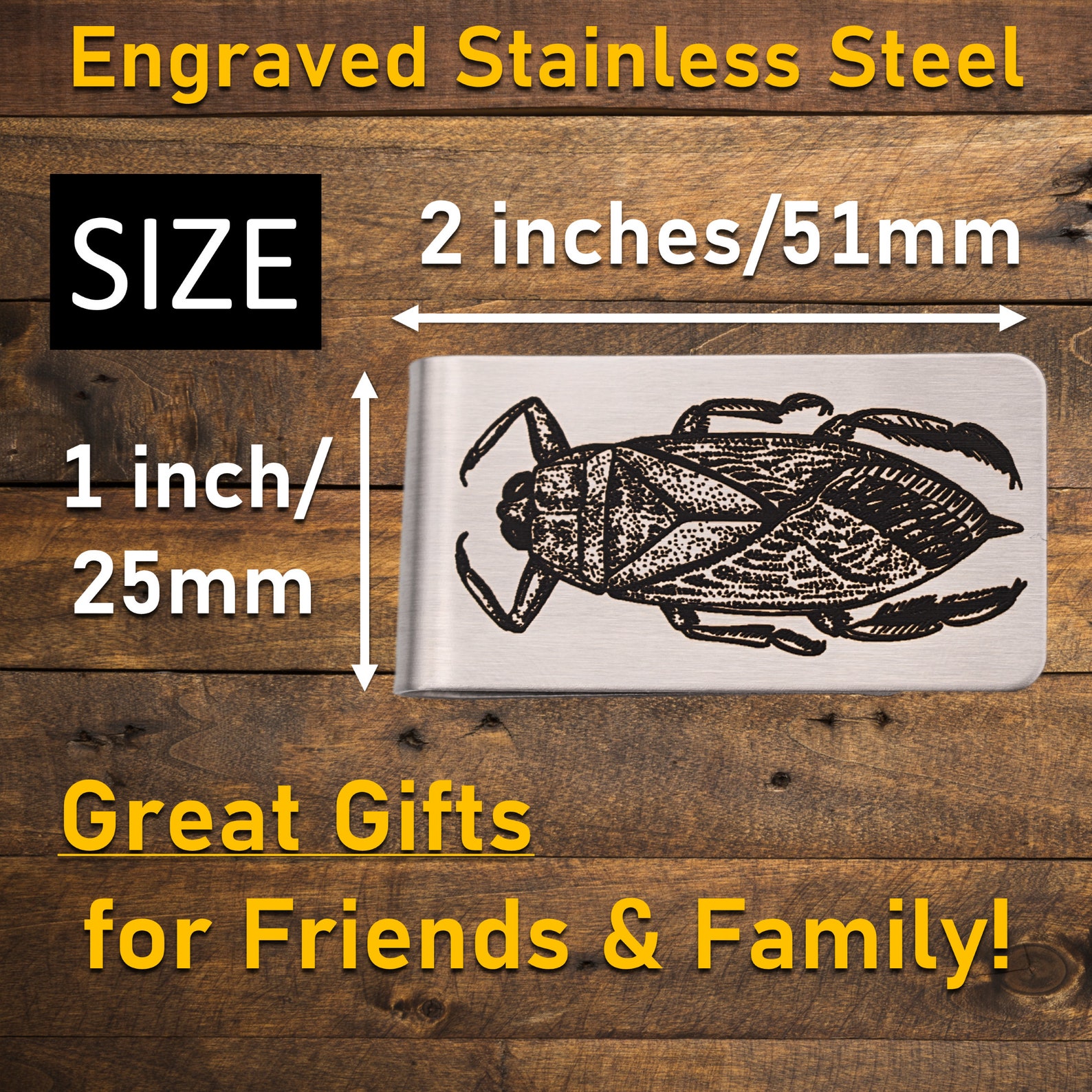 Giant Water Bug Belostoma Money Clip ~ Engraved Stainless Steel - Etsy