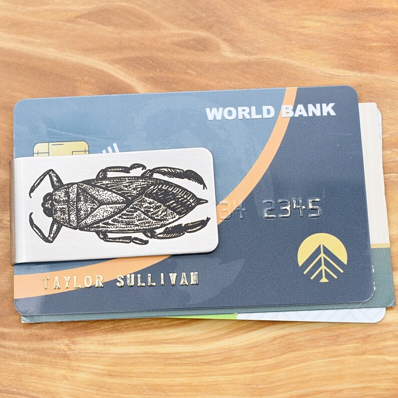 Giant Water Bug Belostoma Money Clip ~ Engraved Stainless Steel - Etsy