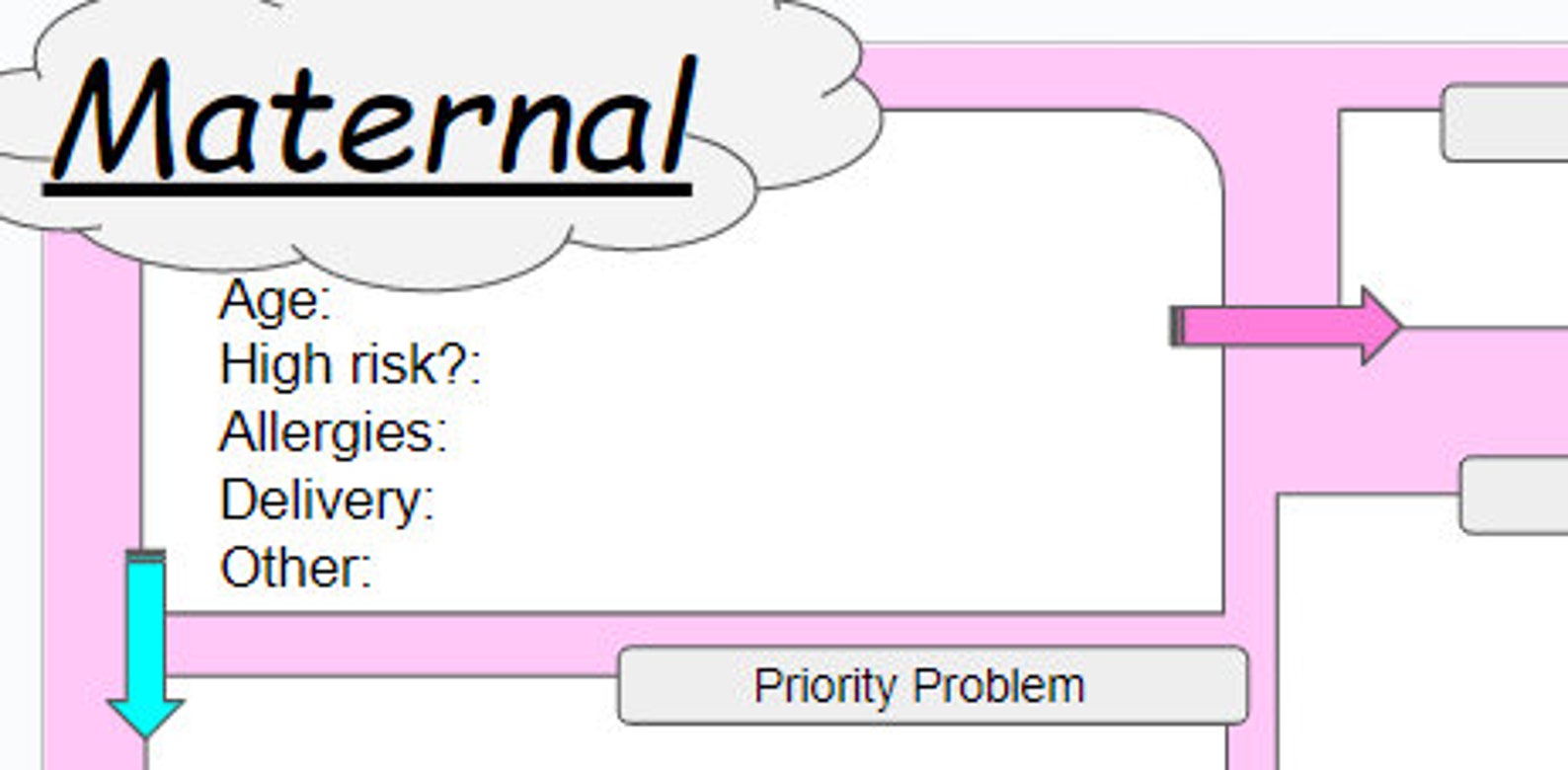 Mother/baby Concept Map for Nursing School - Etsy