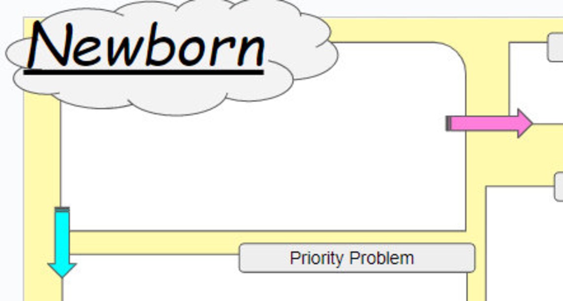 Mother/baby Concept Map for Nursing School - Etsy