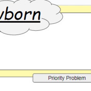 Mother/baby Concept Map for Nursing School - Etsy