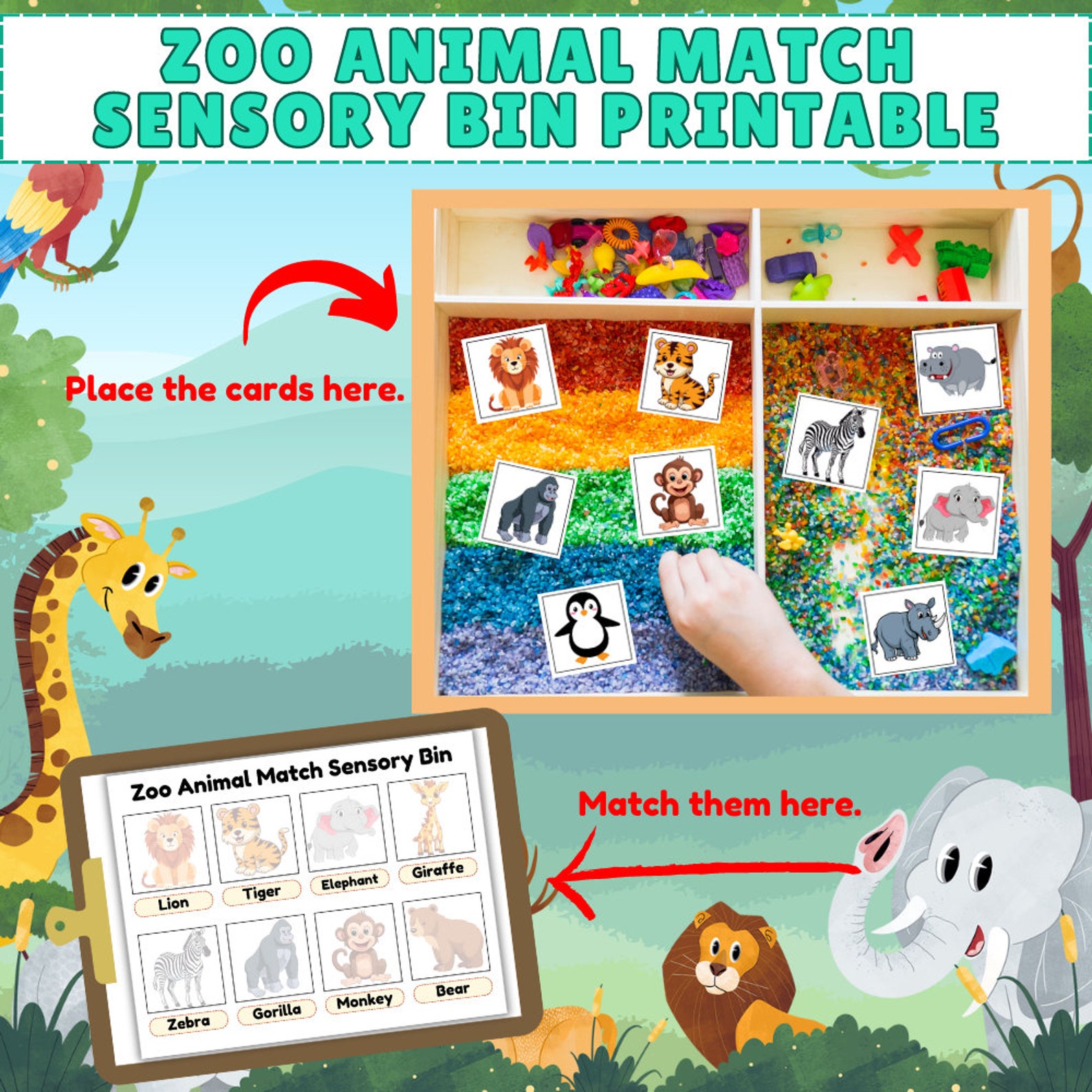 Zoo Animal Match Sensory Bin Cards, Learning Activities, Zoo Sensory ...