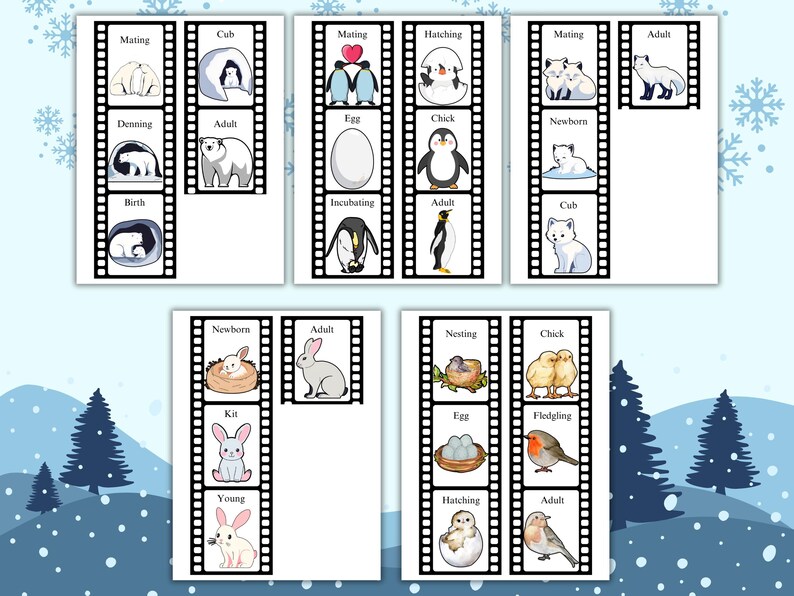 Winter Animal Life Cycle Cut & Paste Activity Printable for Kids - Etsy
