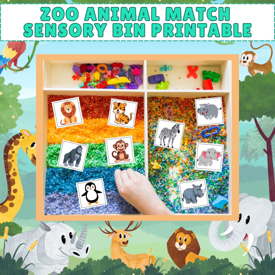 Zoo Animal Match Sensory Bin Cards, Learning Activities, Zoo Sensory ...