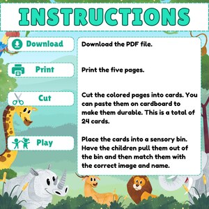 Zoo Animal Match Sensory Bin Cards, Learning Activities, Zoo Sensory ...