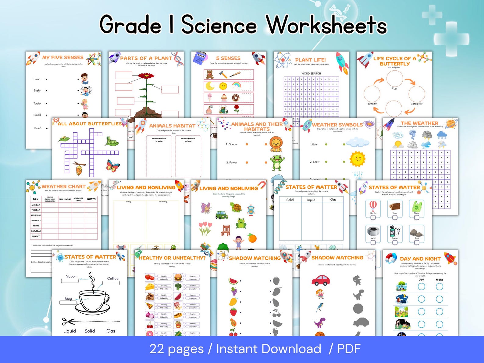 Grade 1 Science Worksheets Bundle – Plants, Senses & Weather, 22 ...