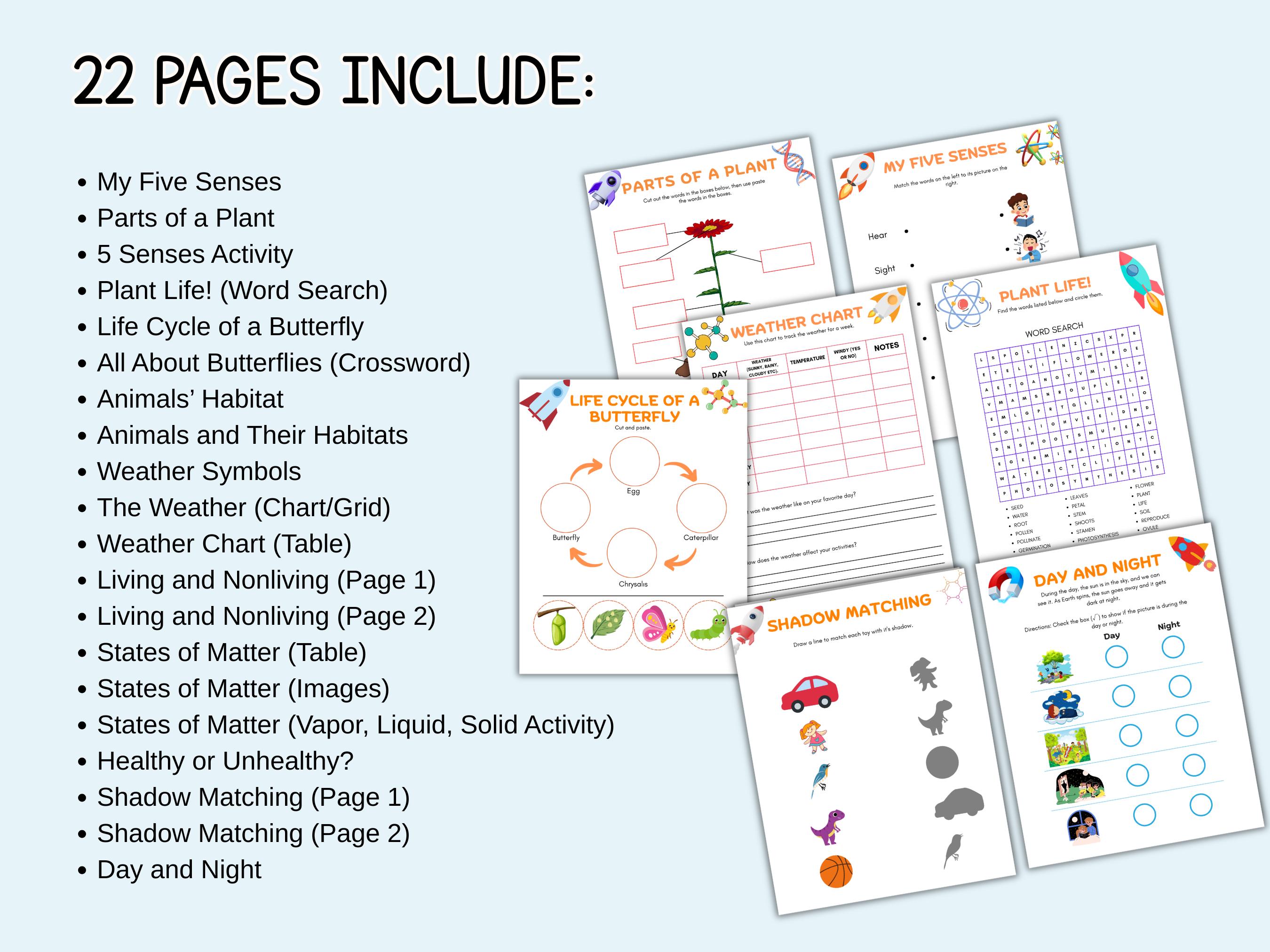 Grade 1 Science Worksheets Bundle – Plants, Senses & Weather, 22 ...