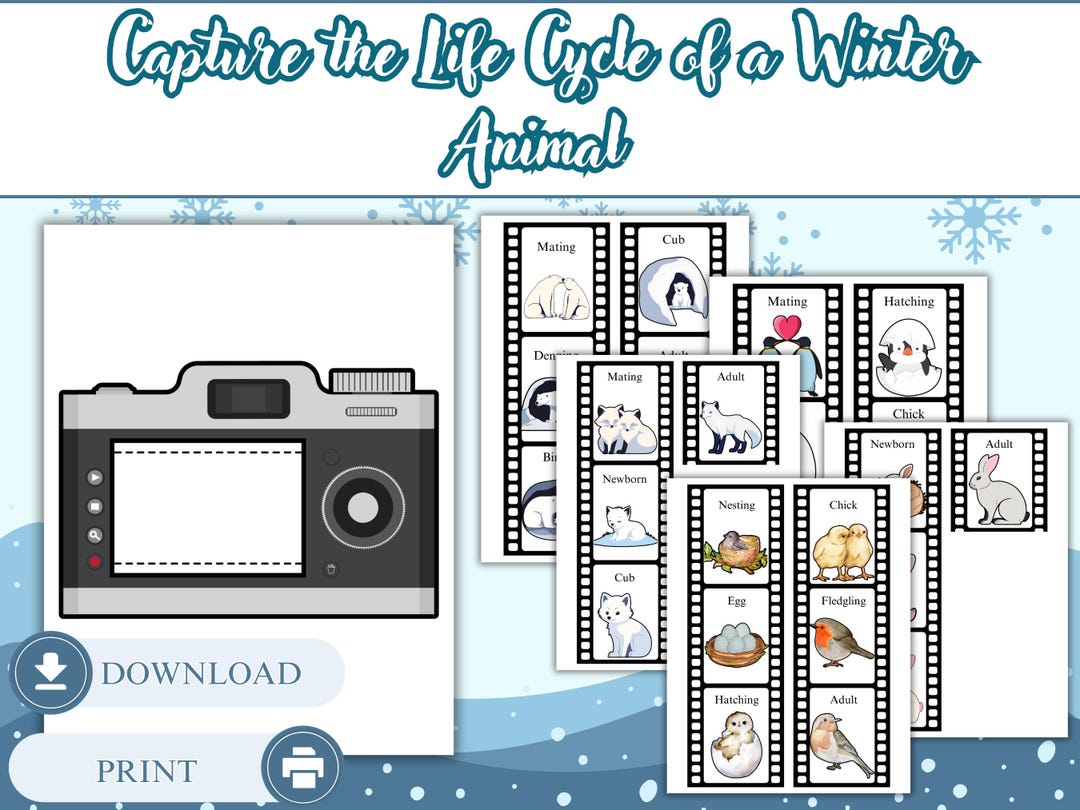 Life Cycle of a Winter Animal, Cut & Paste Activity Kids, Winter Animal ...
