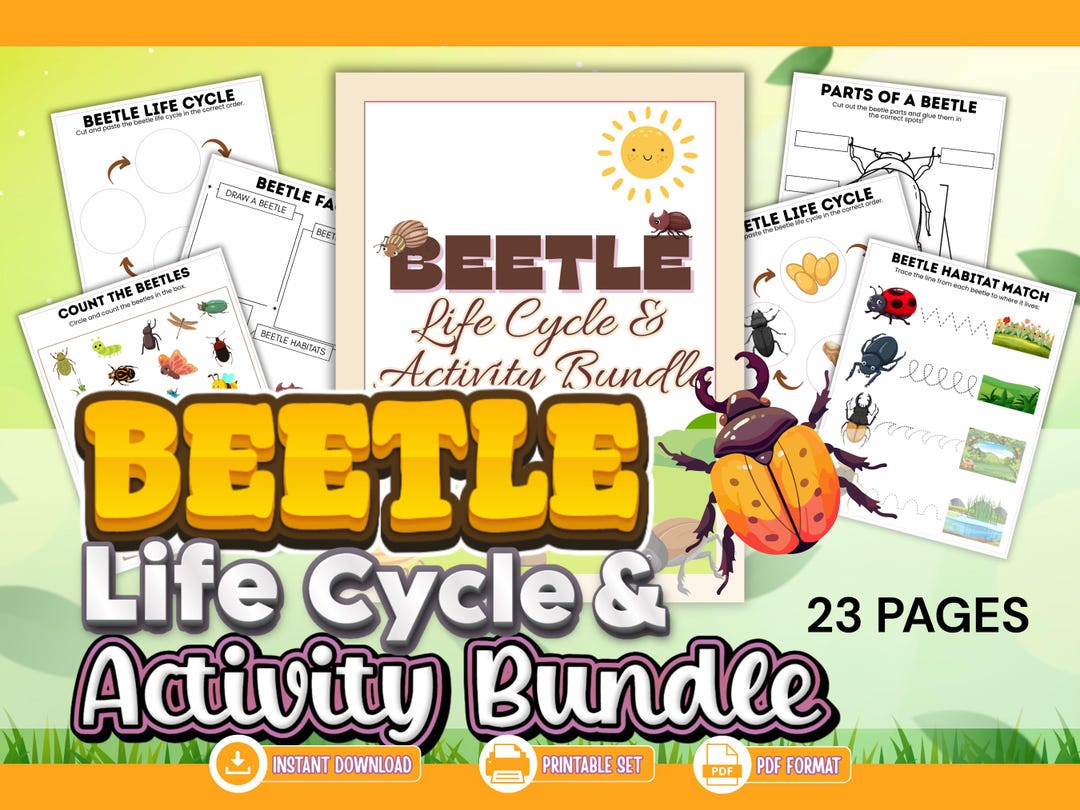 Beetle Life Cycle Worksheets Pack, Insect Activities, Printable Science ...