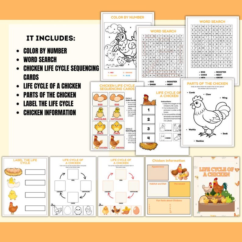 Chicken Life Cycle Worksheets – Sequencing Cards, Word Search, Color by ...