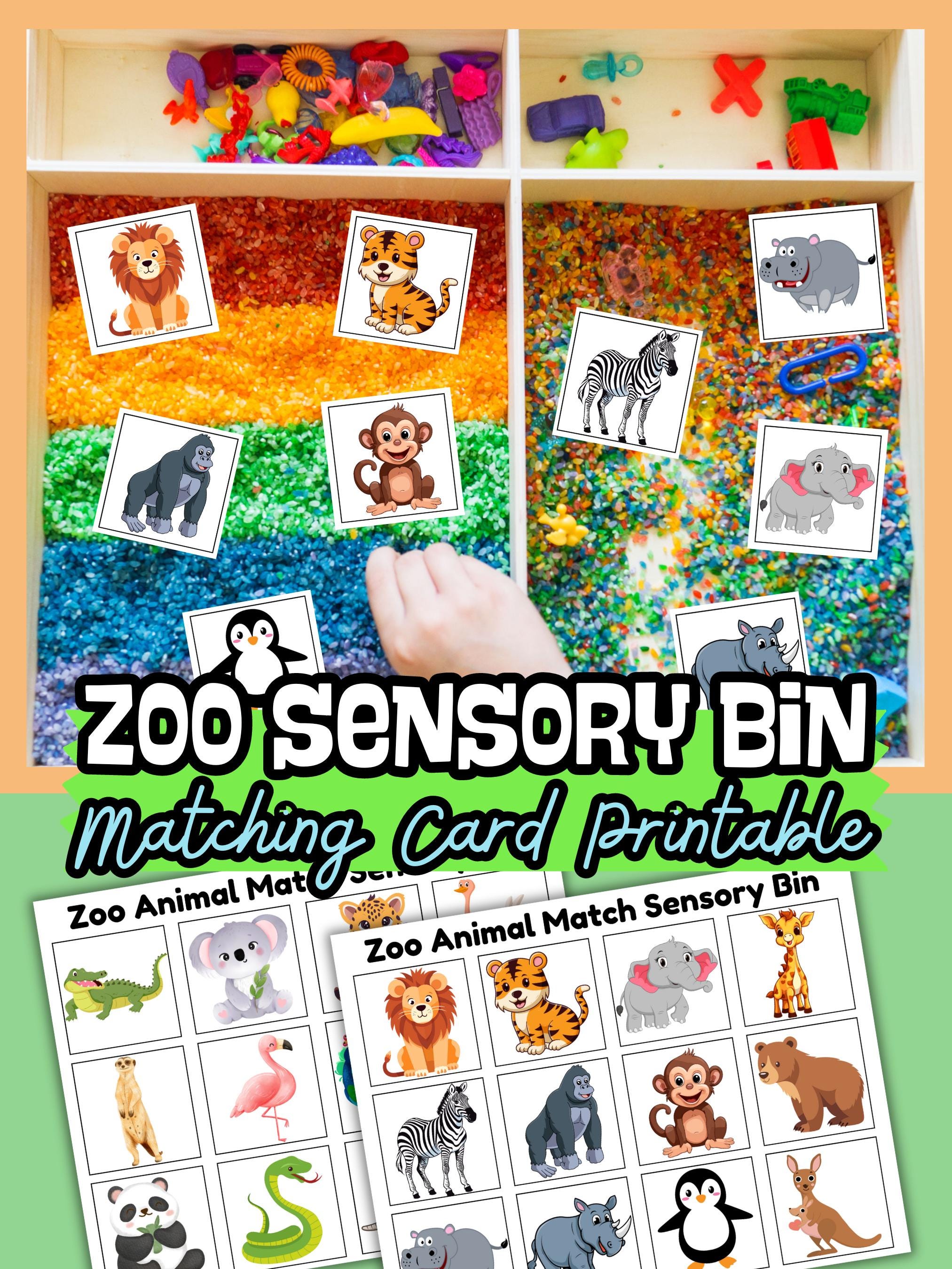 Zoo Animal Match Sensory Bin Cards, Learning Activities, Zoo Sensory ...