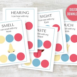 Preschool Worksheets Printable, Senses Activity Sheet, Sensory ...