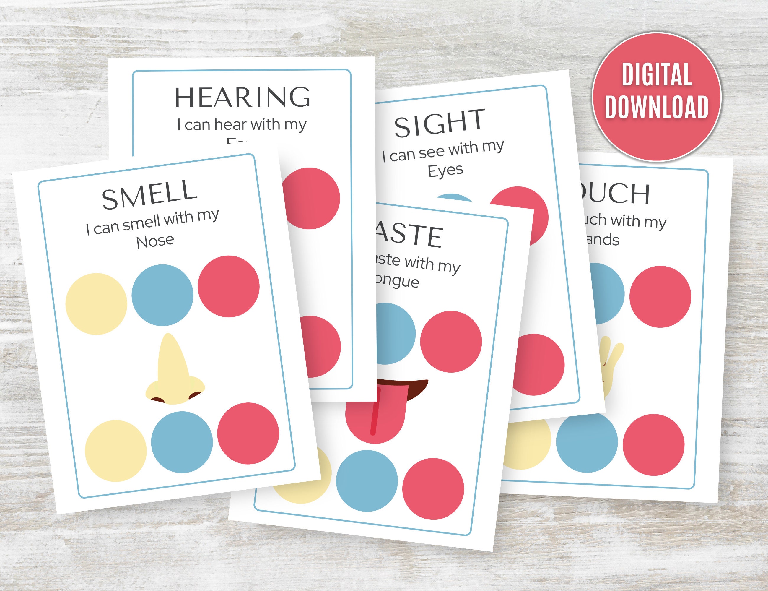 Preschool Worksheets Printable Senses Activity Sheet Sensory - Etsy