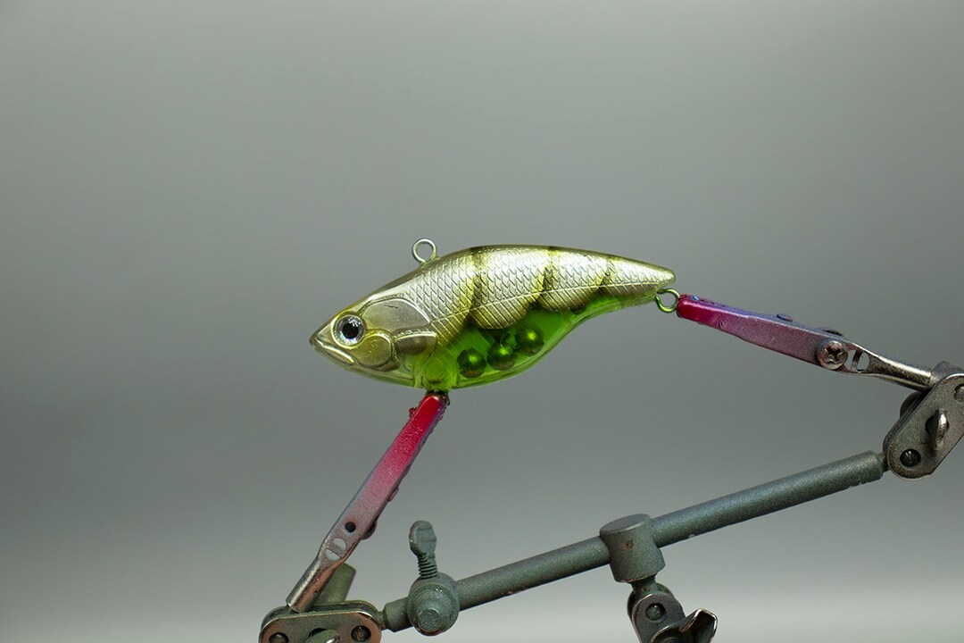 Lime Green Yabby / Crawfish - Etsy