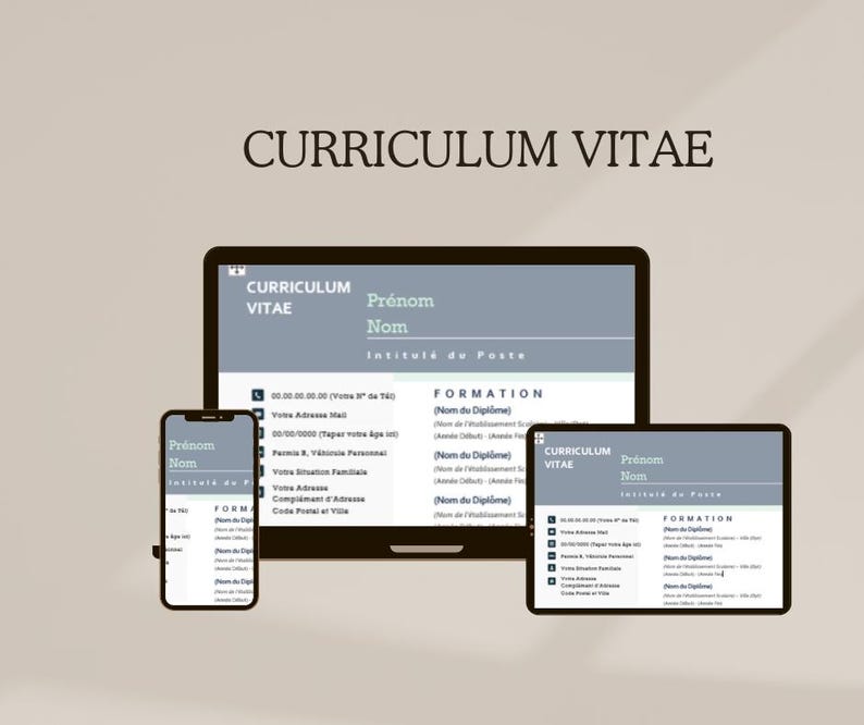 Professional CV Template Without Photo and in French, on Word ...