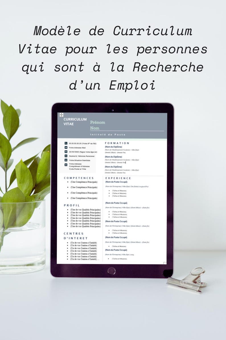 Professional CV Template Without Photo and in French, on Word ...