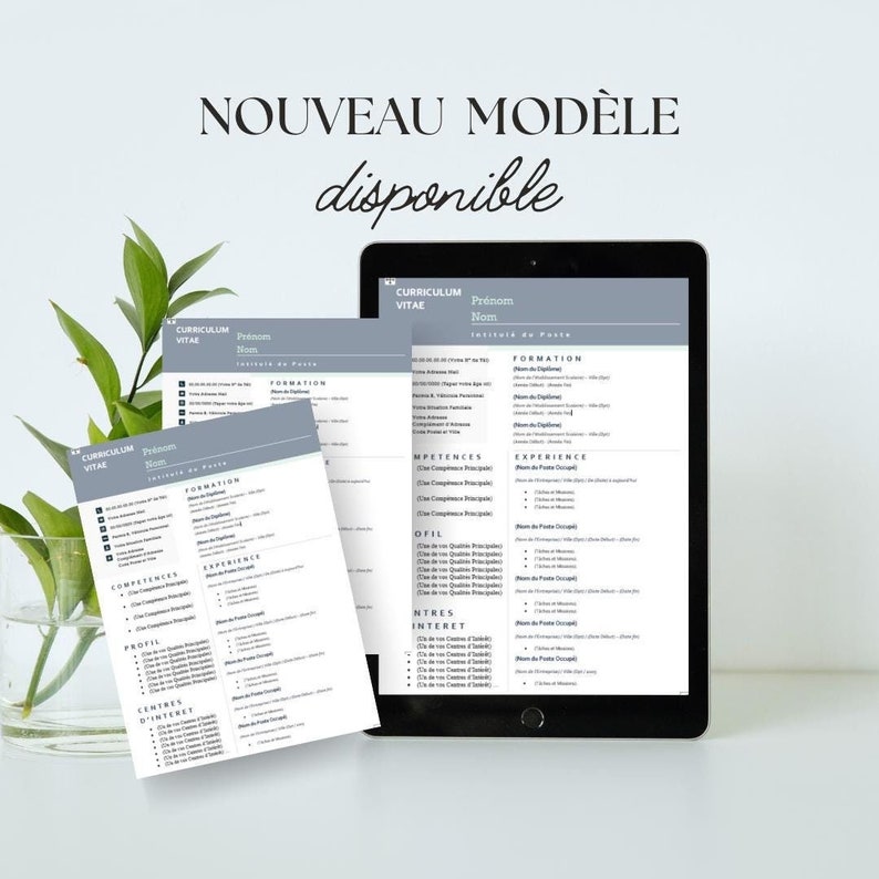 Professional CV Template Without Photo and in French, on Word ...