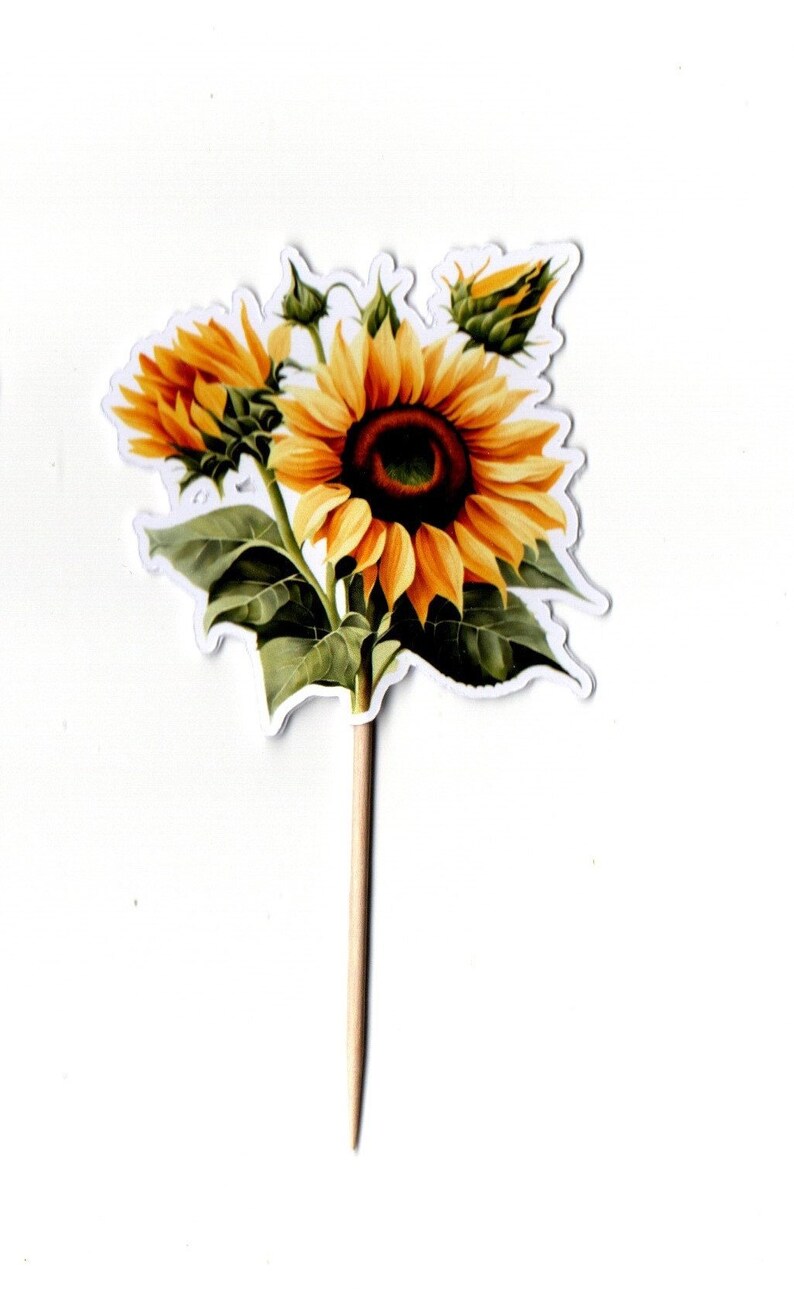Sunflower Cupcake Toppers: Double Sided Flower Decorations (set of 12 ...