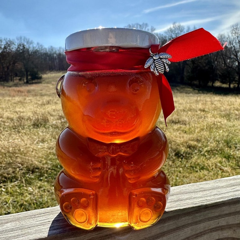 Glass Bear Jar - Etsy