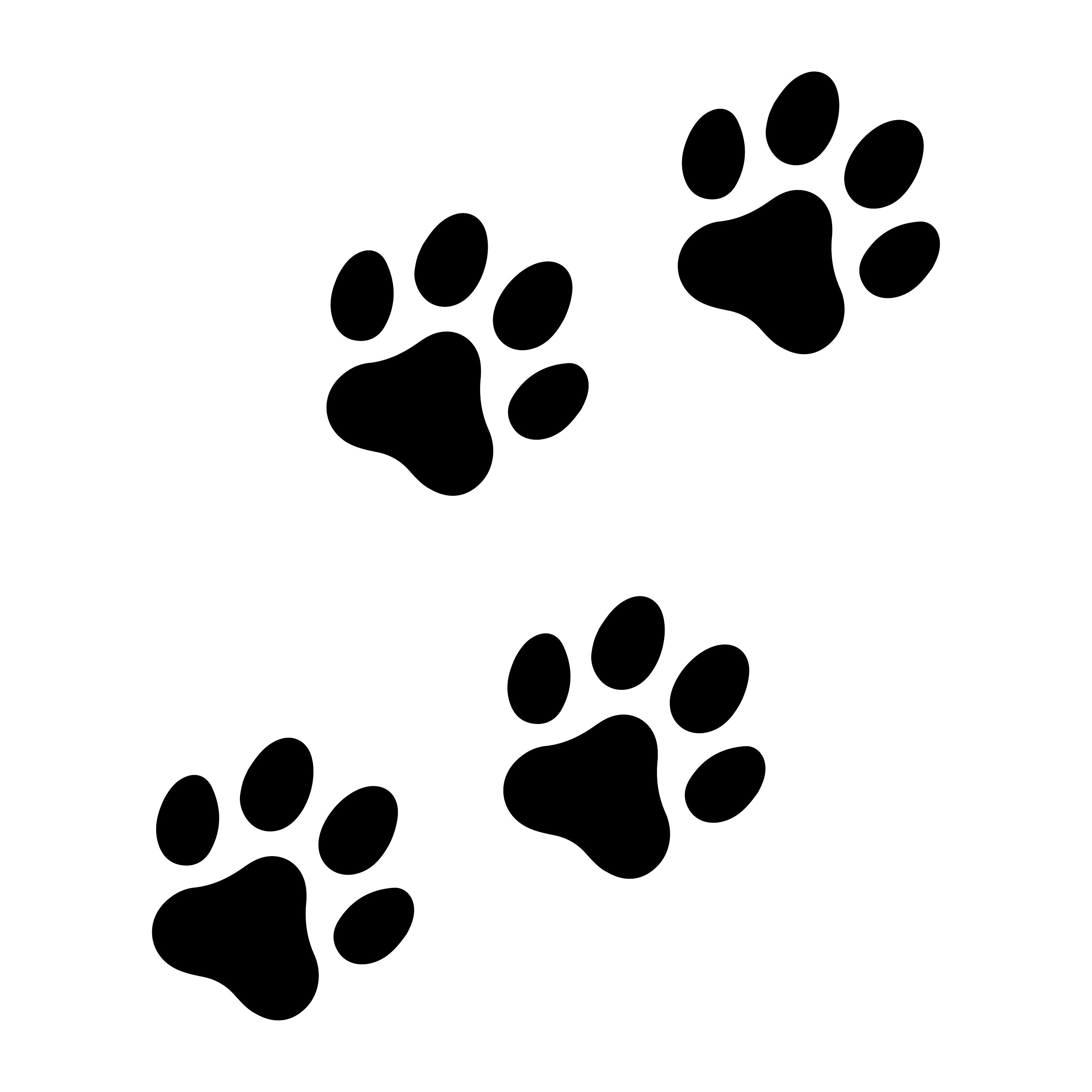 Pawprints - Etsy