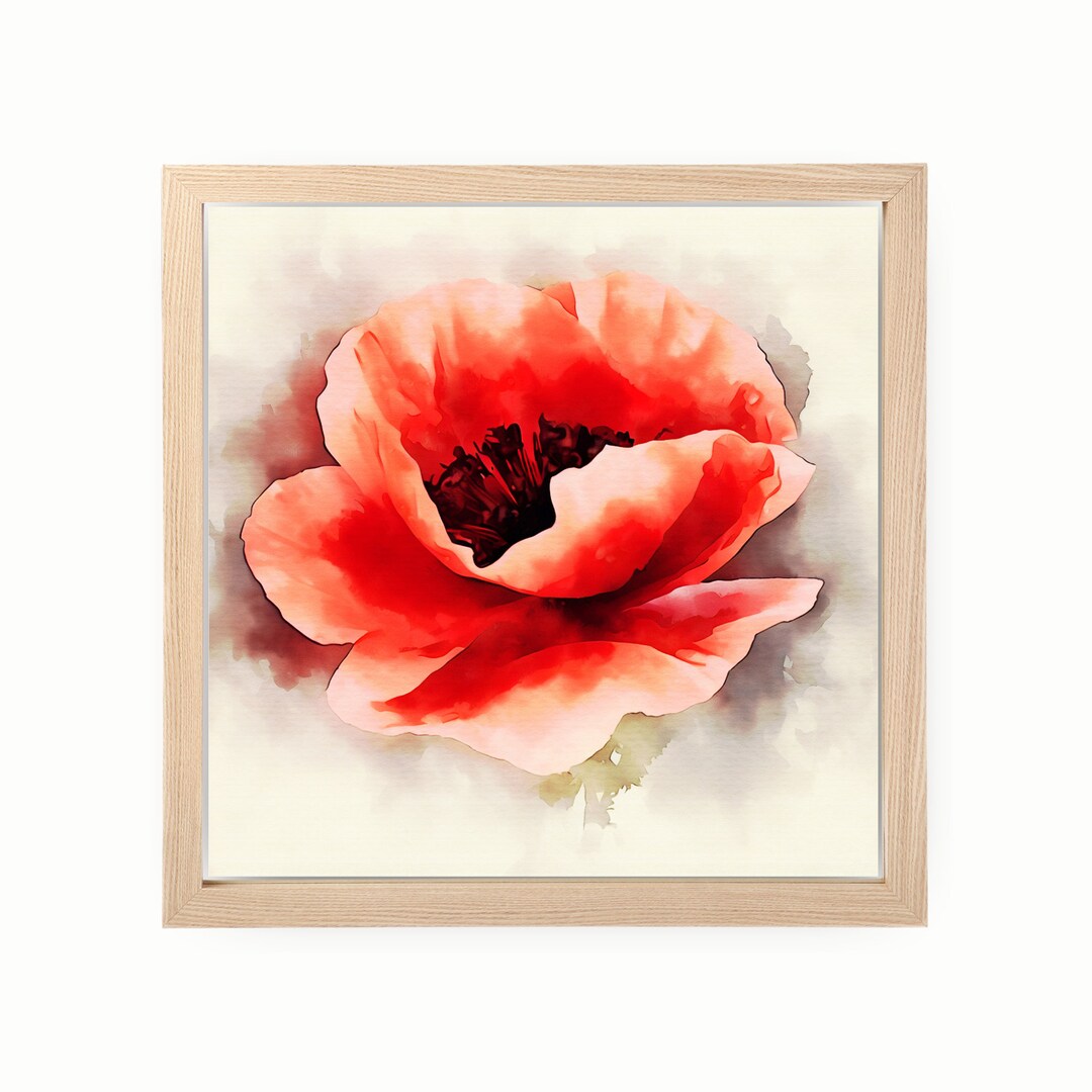 Poppy Flower Digital Watercolour Bloom for Remembrance Bright - Etsy