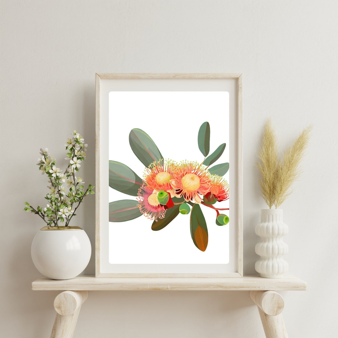 Australian Native Flowering Gum Nut Digital Artwork for Download ...